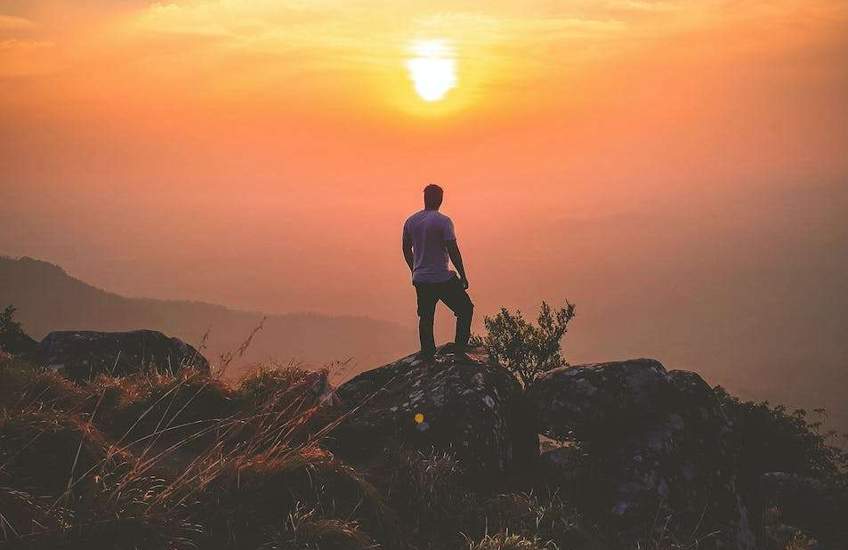 Seeking Truth about the Origins of Life - Seeking Truth